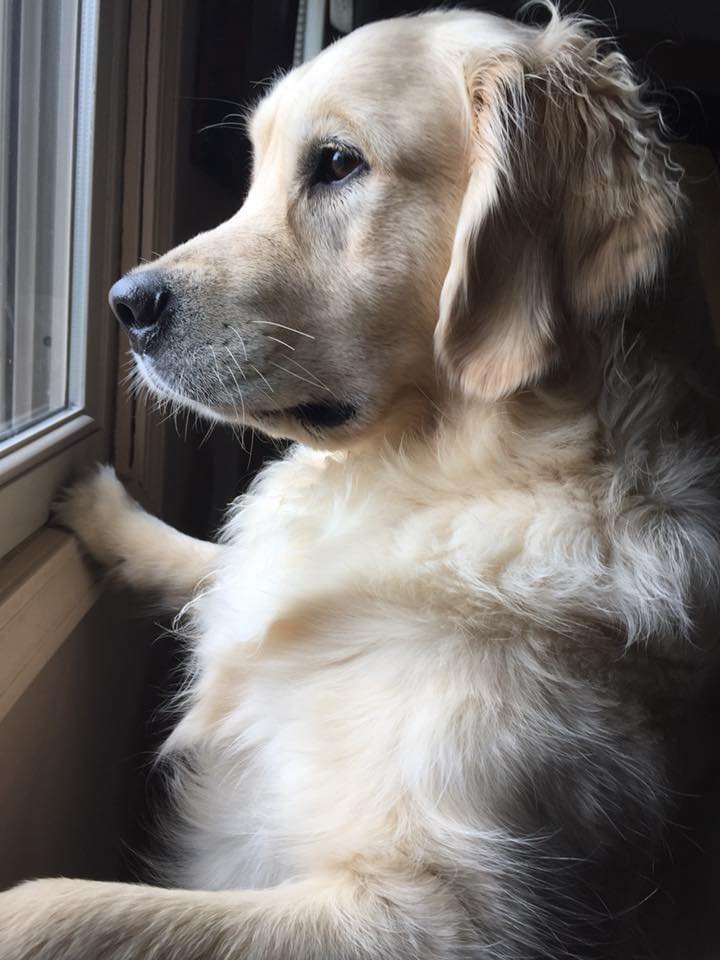 Tipsy - People Photography - Photography - FM Forums