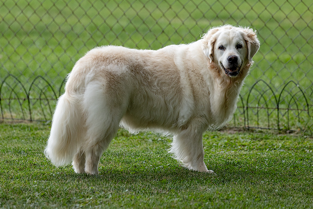 Tipsy - People Photography - Photography - FM Forums