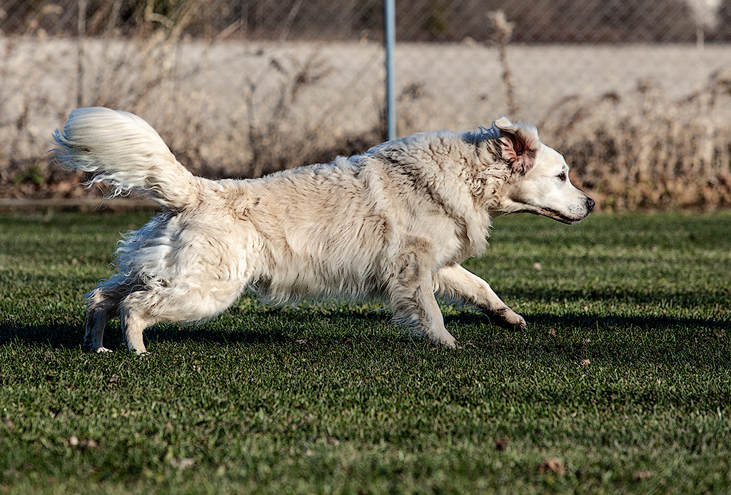 Tipsy - People Photography - Photography - FM Forums